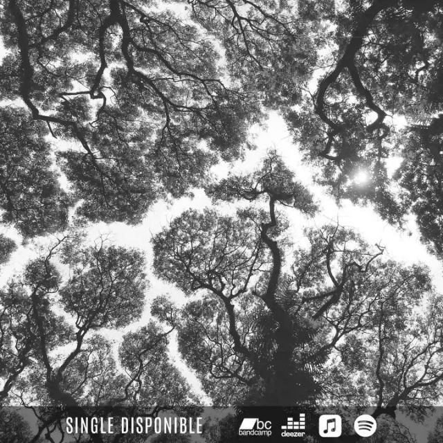 Cedar Walton, "Fantasy in D" a.k.a "Ugetsu" - WeSeeMusic Blog
